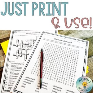 Types of Clouds Review Activity Puzzles – Amigo Science